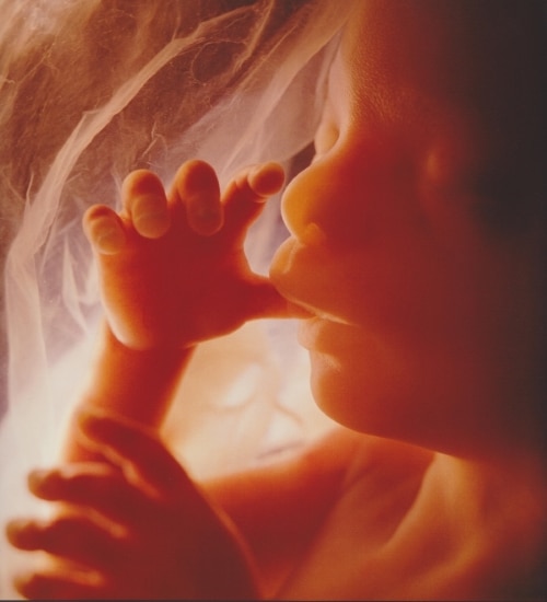 Prenatal Photos - Created Equal